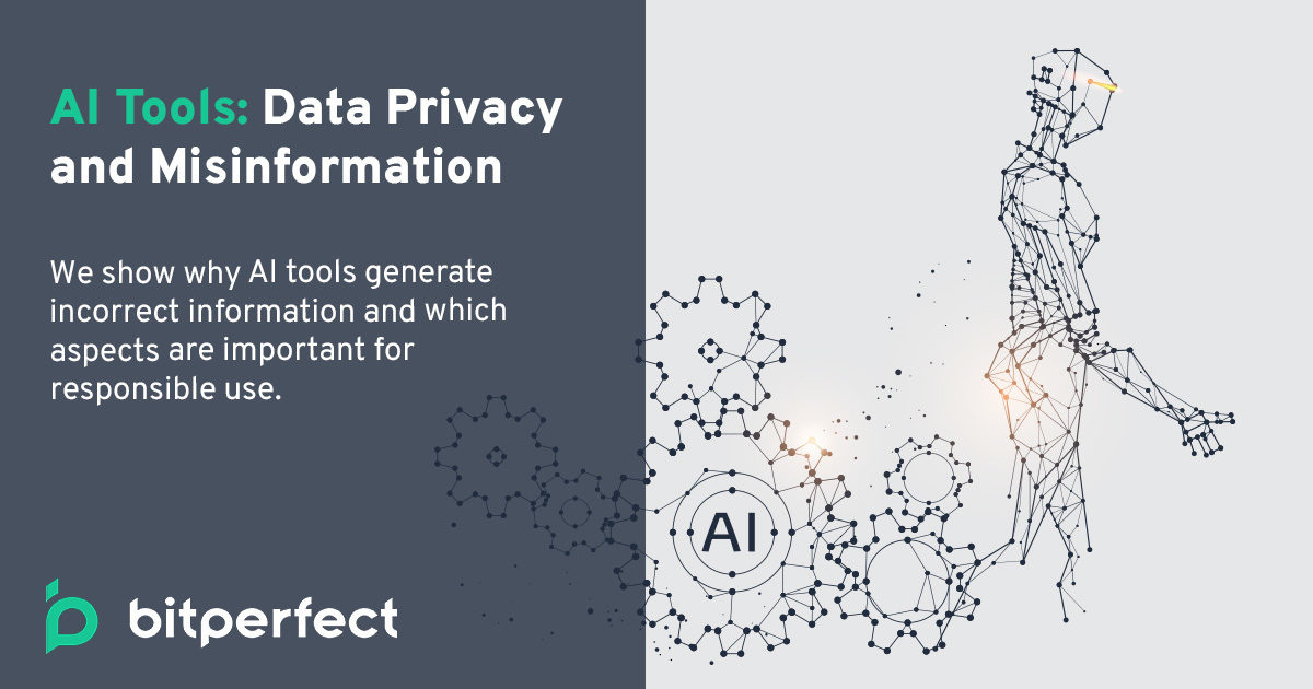 AI Tools: Data Privacy and Misinformation