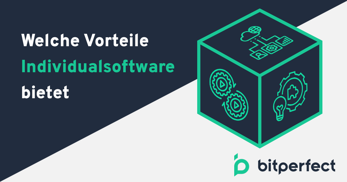Individualsoftware: Welche Vorteile sie bietet